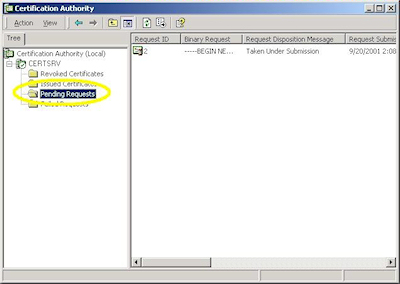 Geeky Bob | IIS 5: Setting up SSL - Appendix C: Processing a Certificate Request